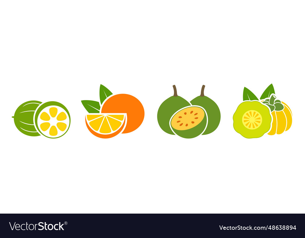 Fruit Royalty Free Vector Image - VectorStock