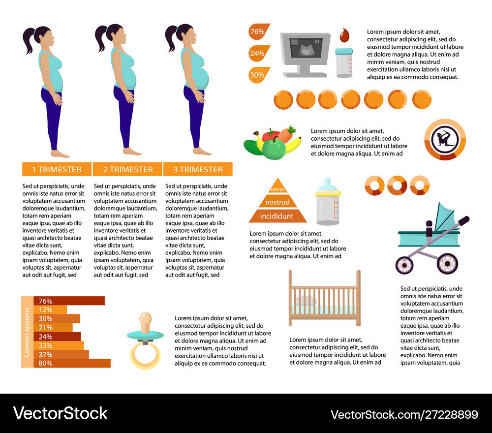 Pregnancy infographics article page flat template Vector Image