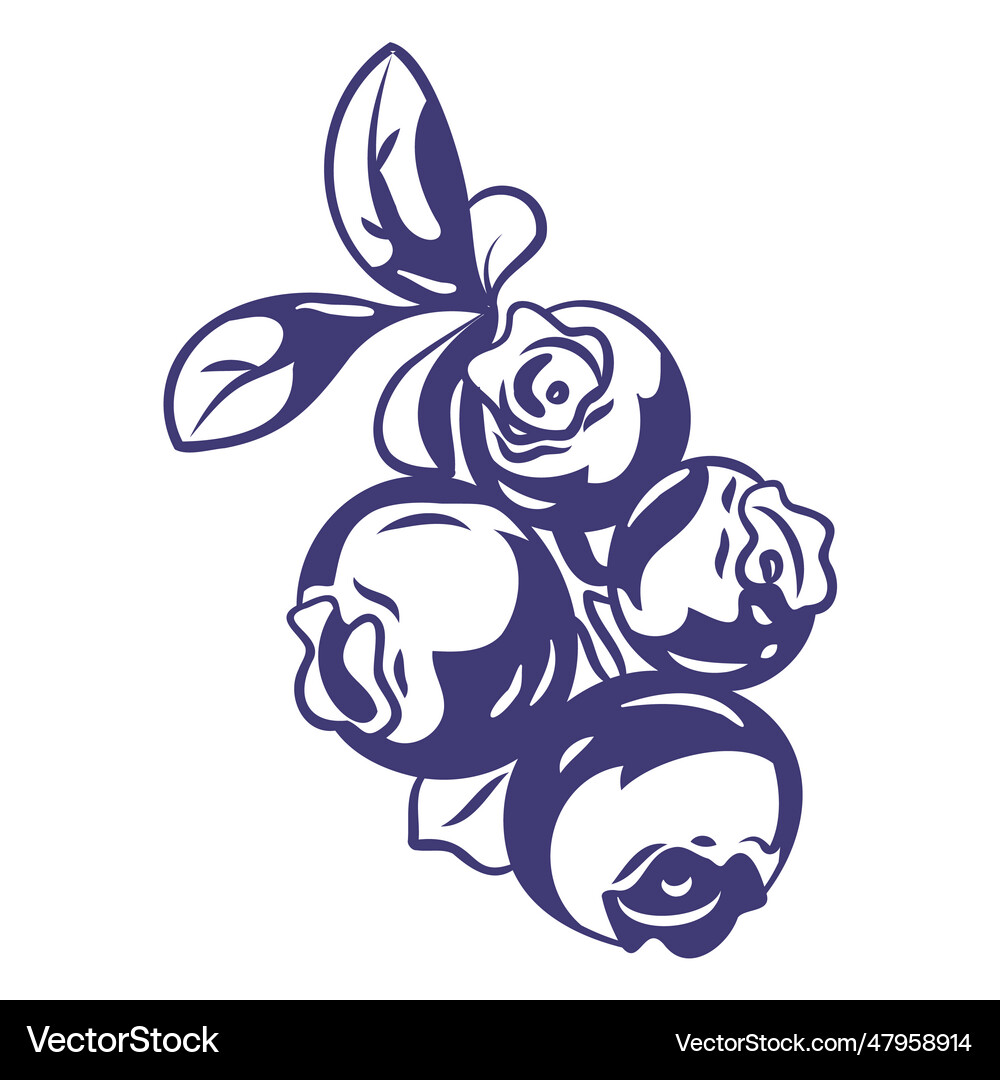 Blueberries high contrast Royalty Free Vector Image