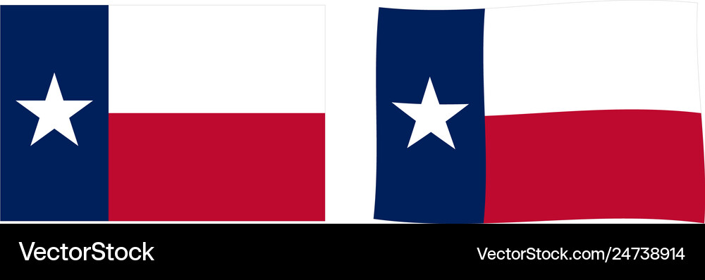 State texas flag simple and slightly waving Vector Image