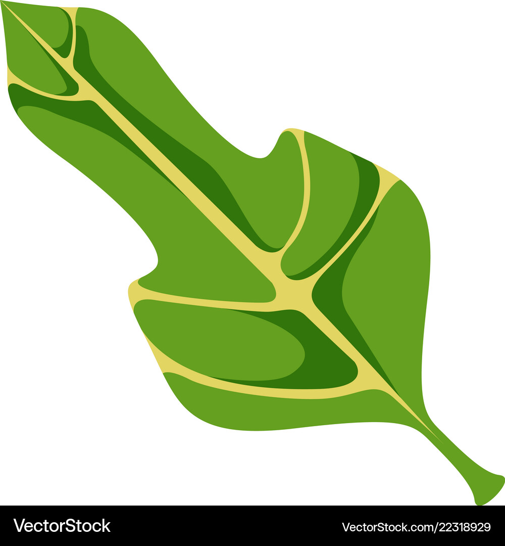 Colorful tropical leaf icon Royalty Free Vector Image