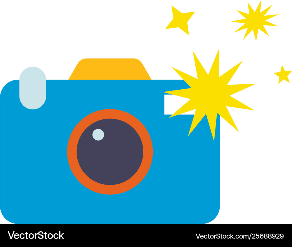 Photo camera geometric isolated Royalty Free Vector Image