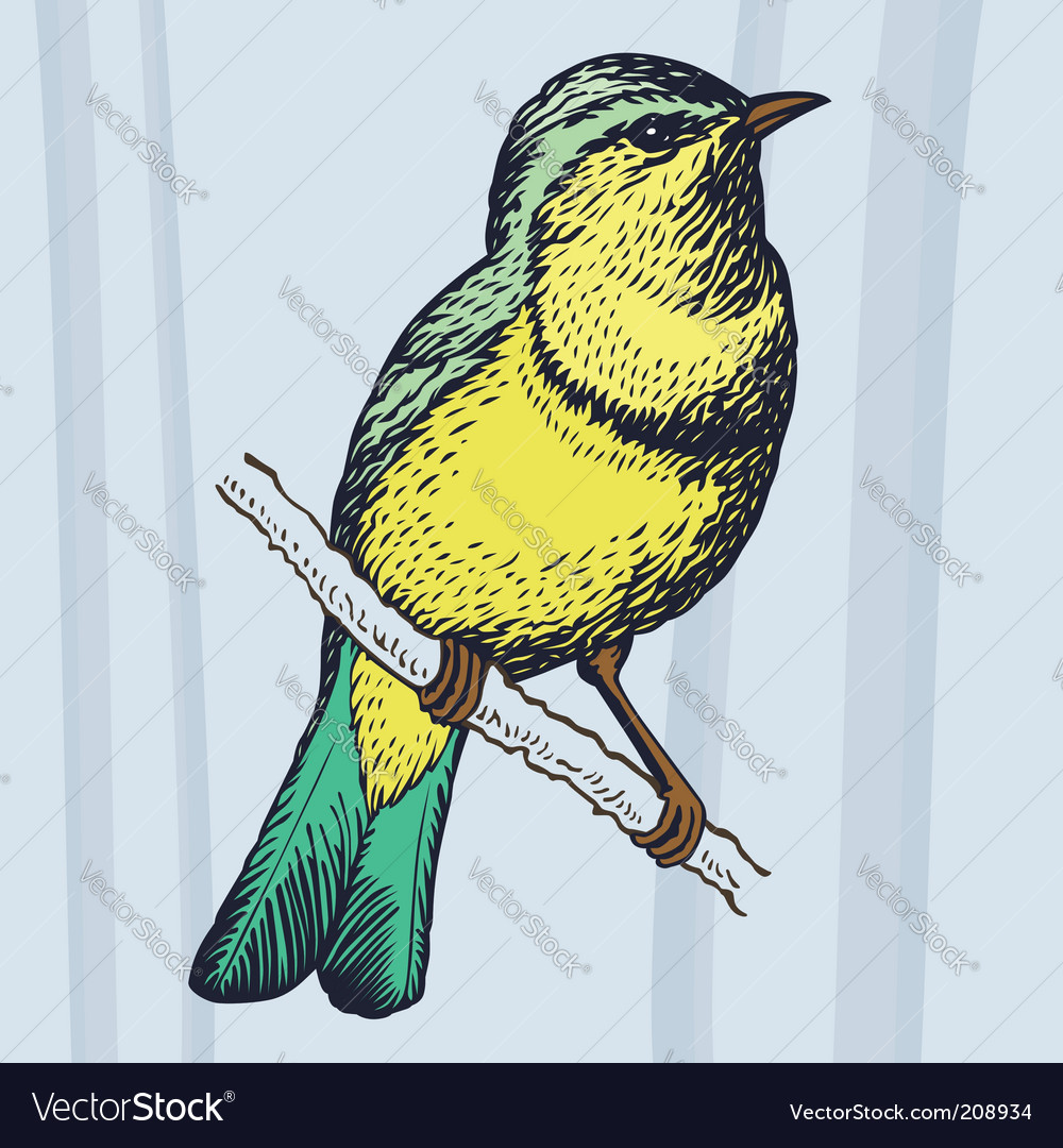 Bird Royalty Free Vector Image - VectorStock