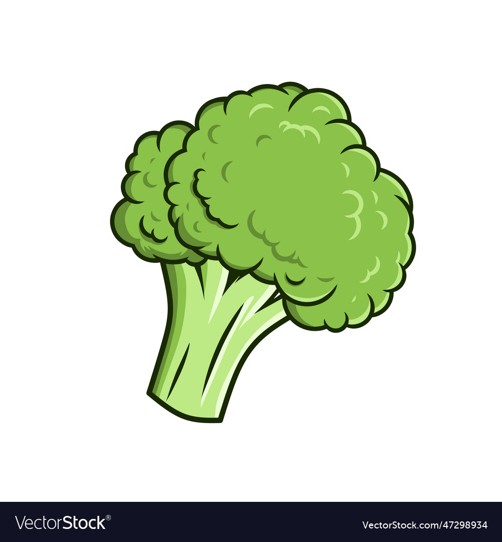Broccoli Royalty Free Vector Image - VectorStock