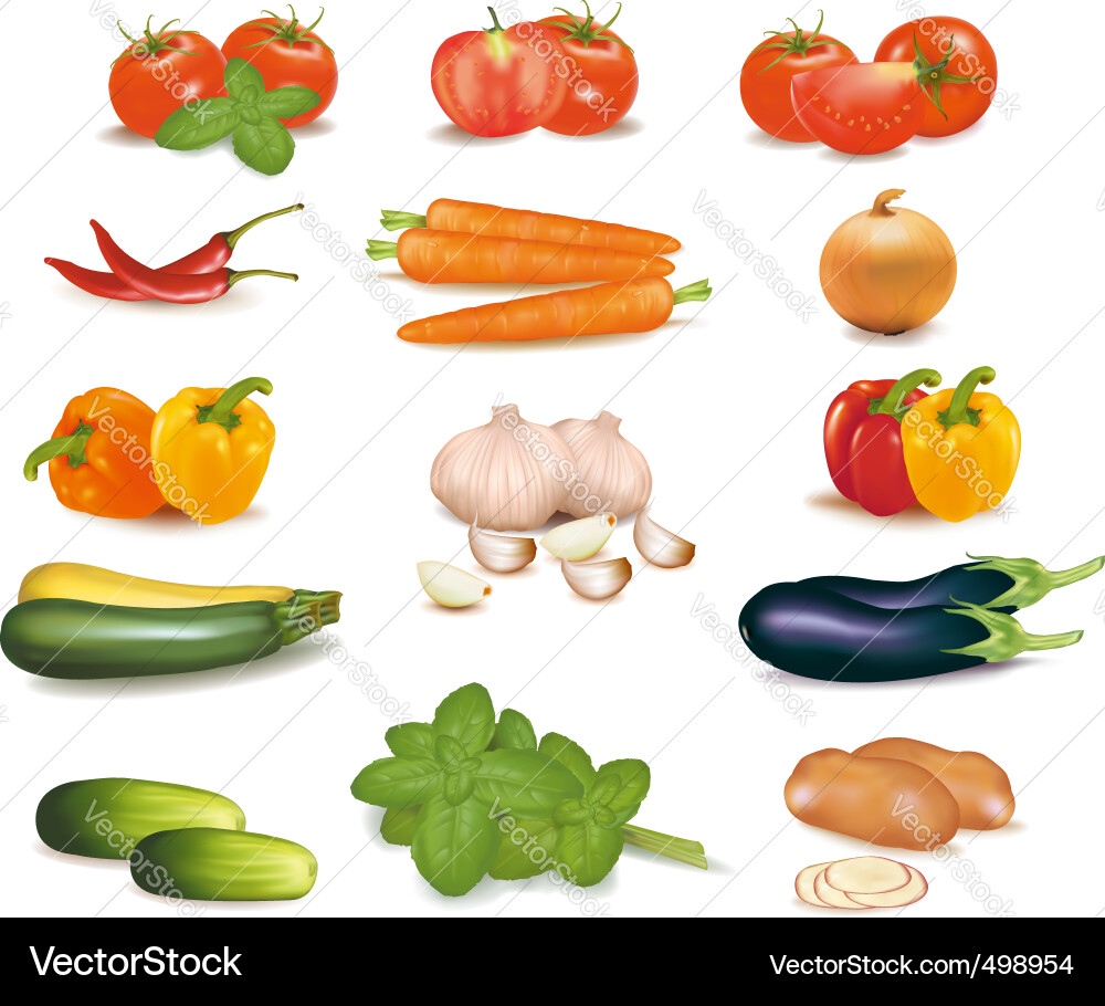Super group colored vegetables Royalty Free Vector Image