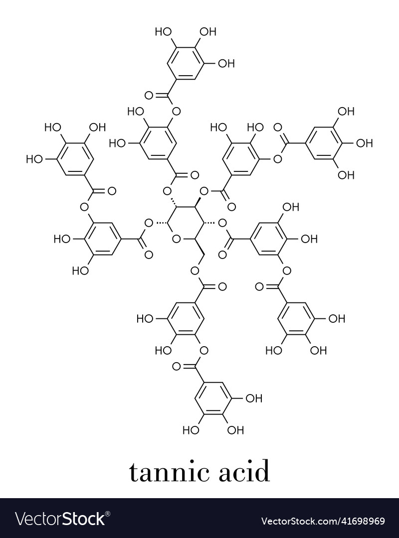 Tannic Acid Molecule One Isomer Shown Type Vector Image