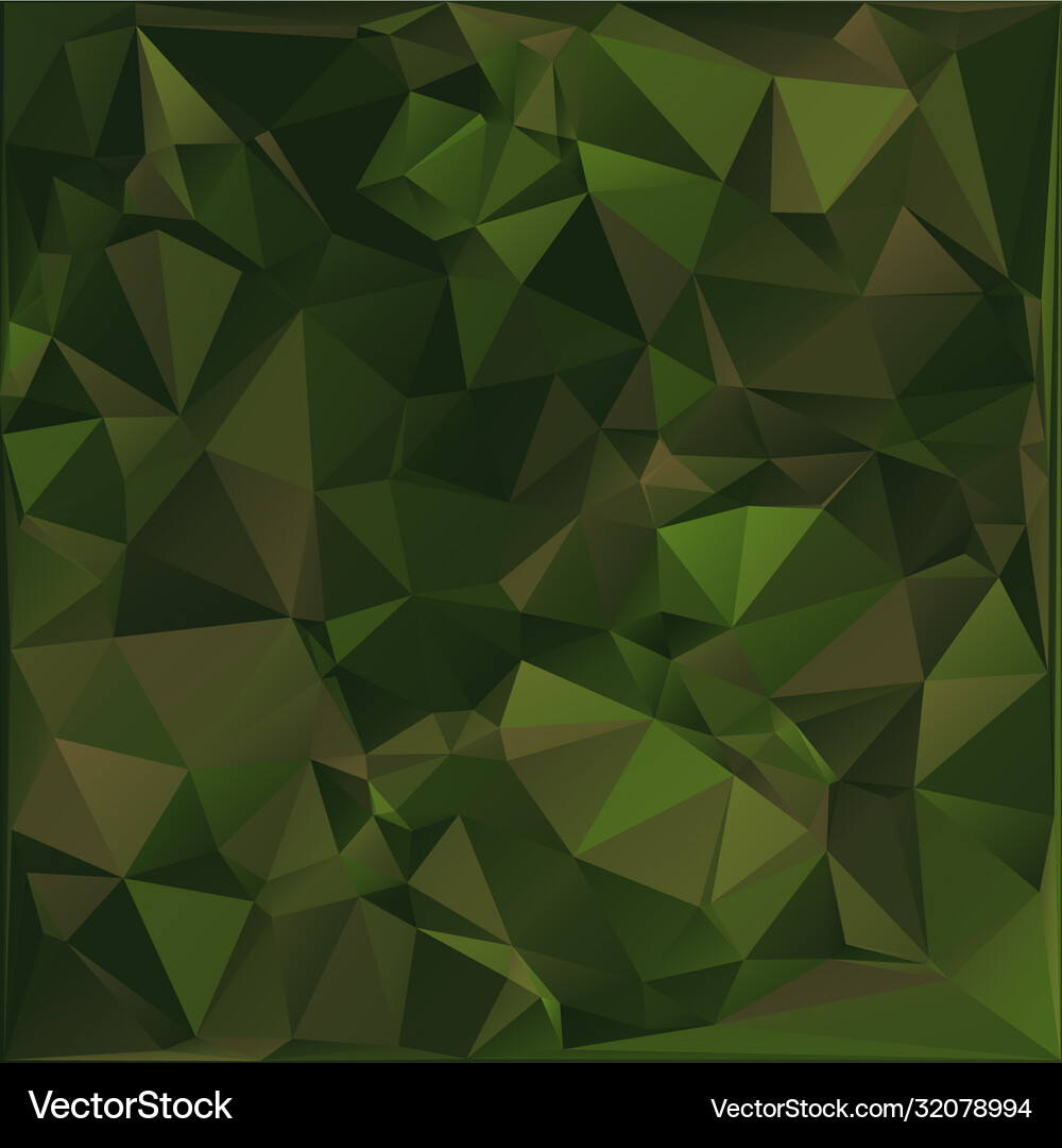 Abstract military camouflage background made Vector Image