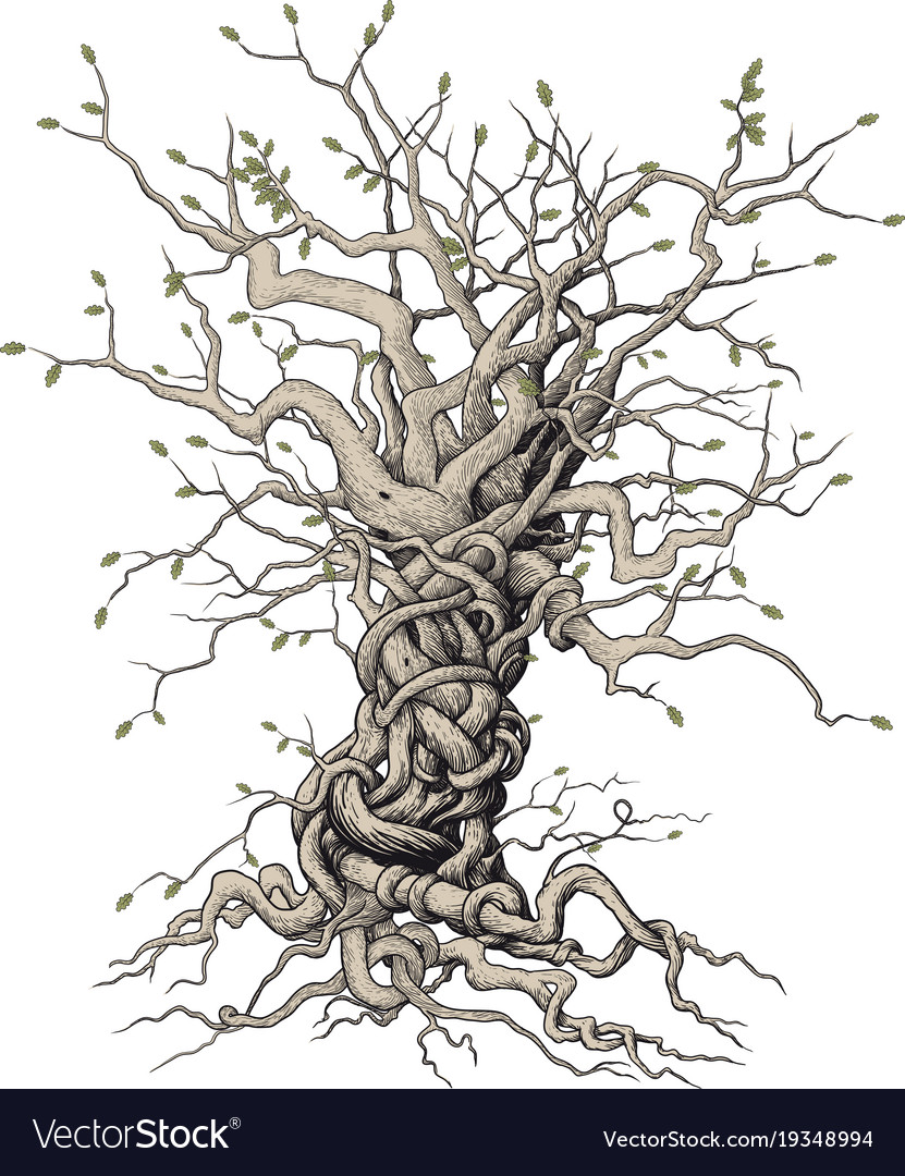 Interlaced tree Royalty Free Vector Image - VectorStock