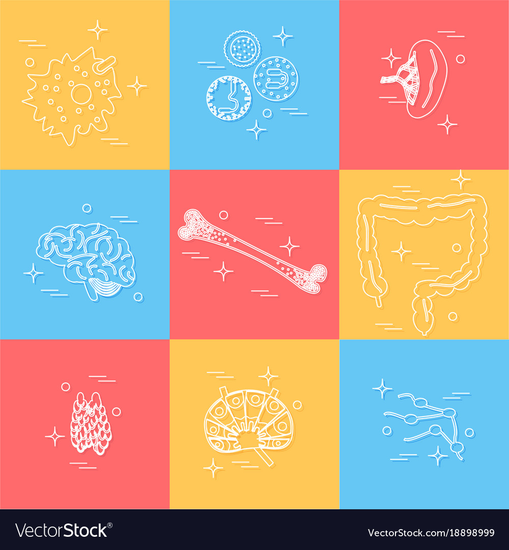 Immune System Icon Set Royalty Free Vector Image