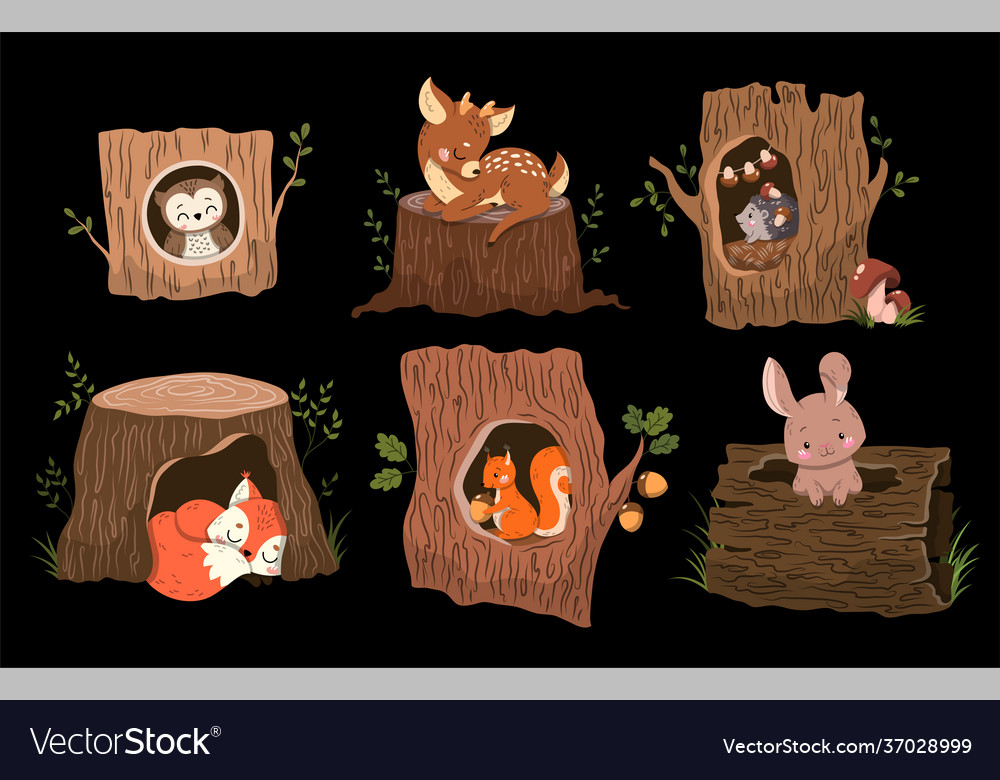 Set 6 adorable forest animals in or on tree Vector Image