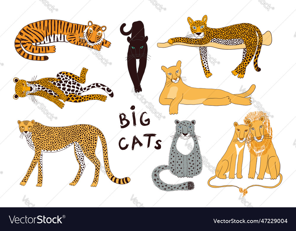 Big cats isolated collection color Royalty Free Vector Image