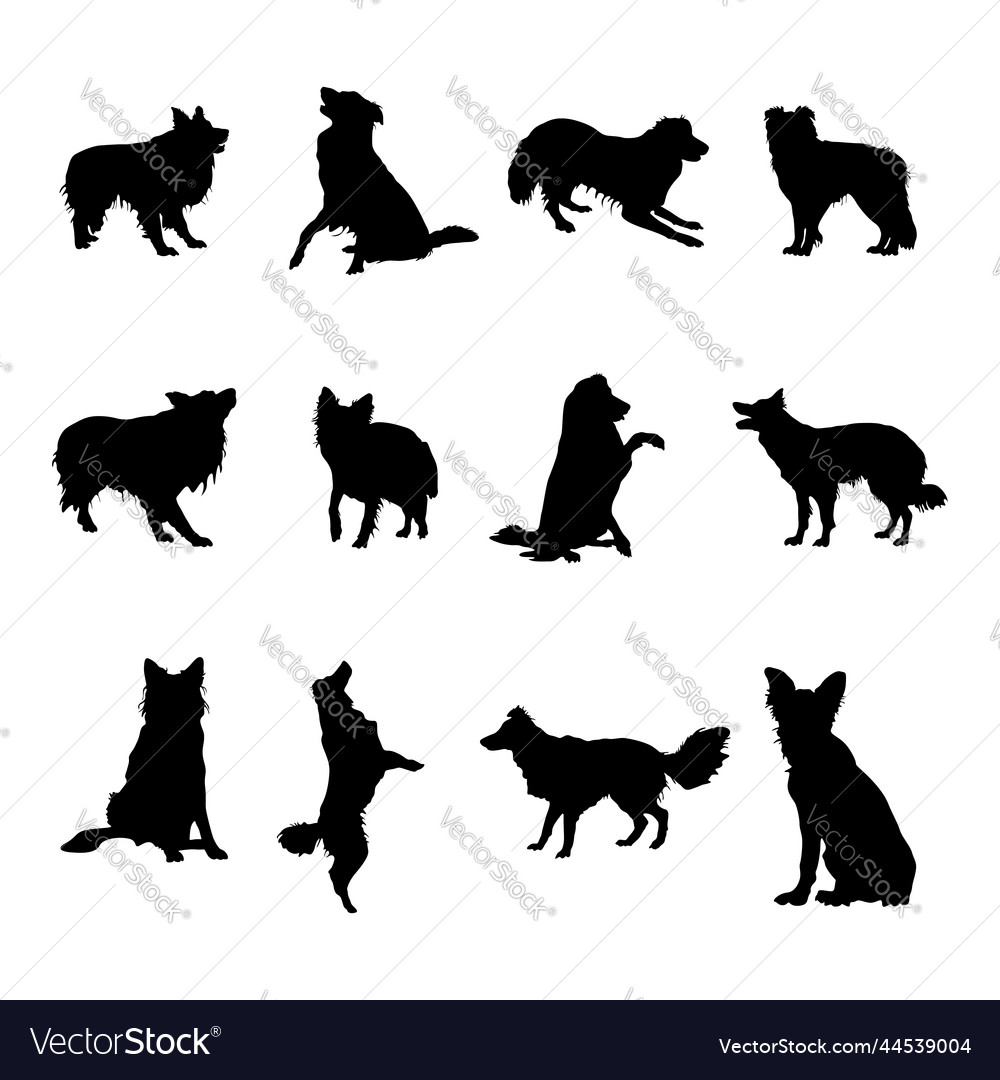 Border collie dog silhouettes Royalty Free Vector Image Border collie dog silhouettes Royalty Free Vector Image
