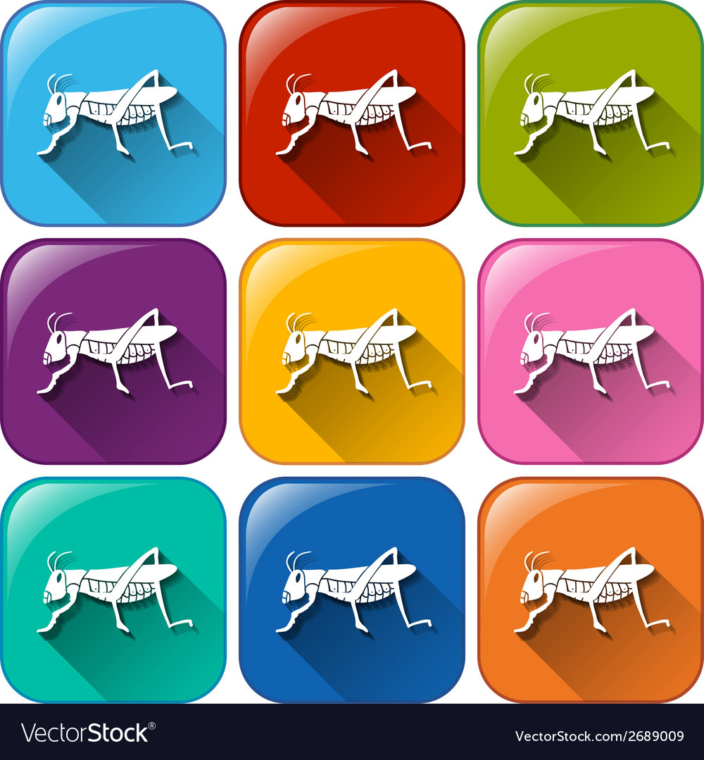 Insect icons Royalty Free Vector Image - VectorStock