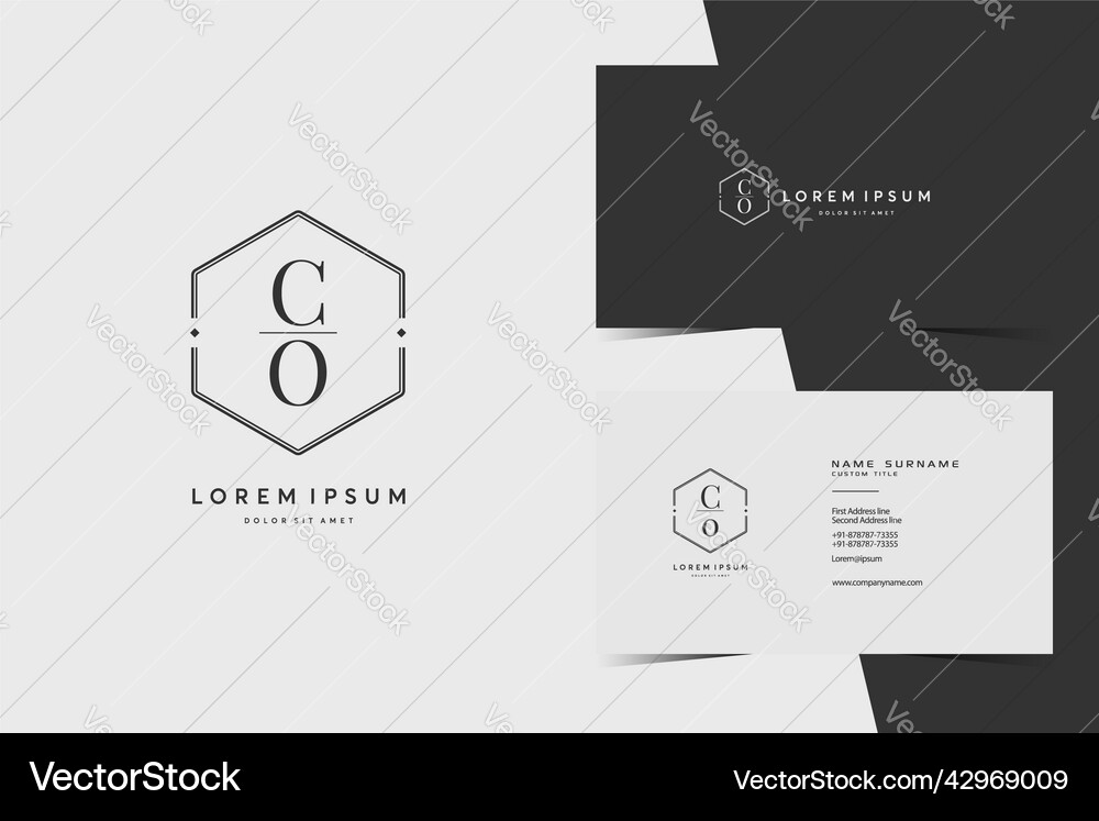 Simple hexagon co monogram logo icon modern Vector Image