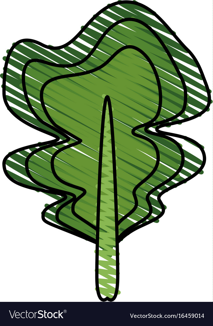 Spinach Royalty Free Vector Image - VectorStock Spinach Royalty Free Vector Image - VectorStock