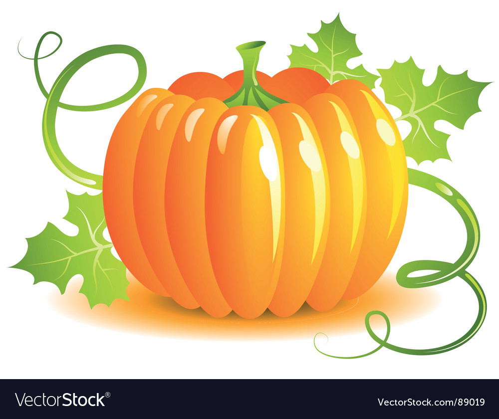 Pumpkin Royalty Free Vector Image - VectorStock