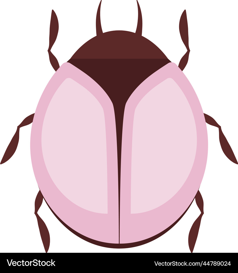 Colored beetle design Royalty Free Vector Image