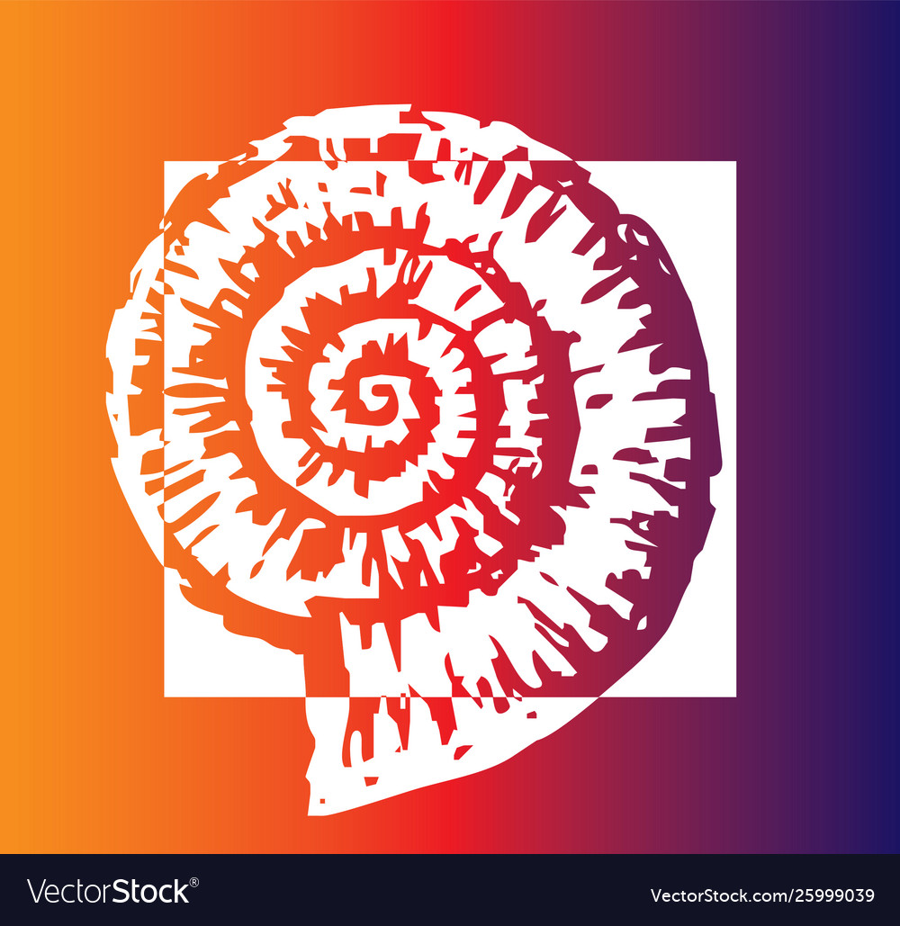 Shell in a square frame Royalty Free Vector Image