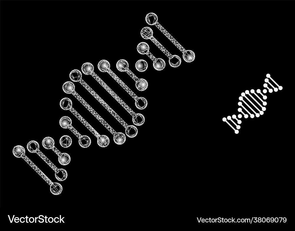 Bright web model dna molecule with light Vector Image
