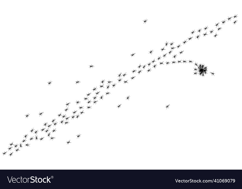 Worker ants trail line flat style design Vector Image