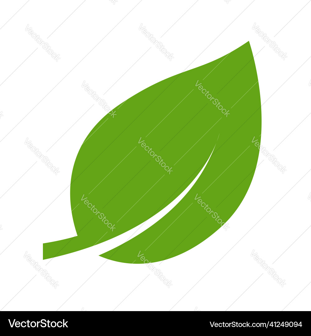 Eco green color leaf logo flat icon isolated leaf Vector Image