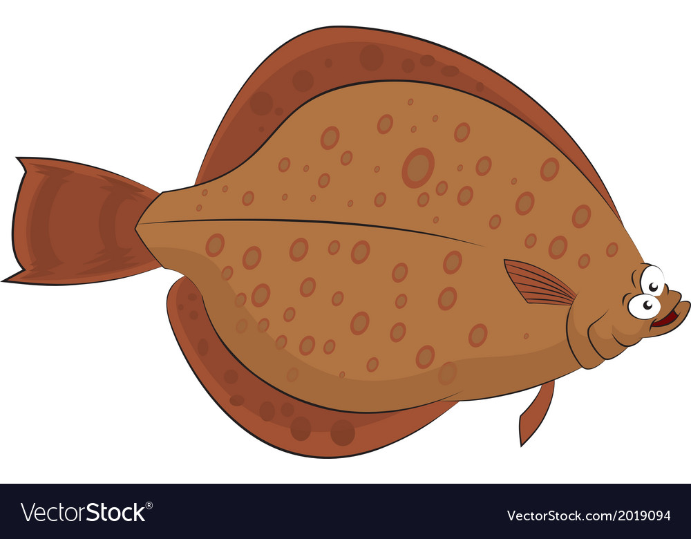 Plaice Royalty Free Vector Image - VectorStock