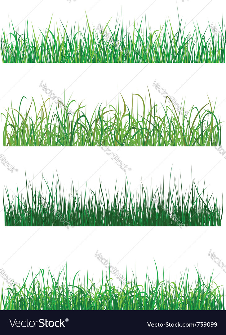 Grass patterns Royalty Free Vector Image - VectorStock