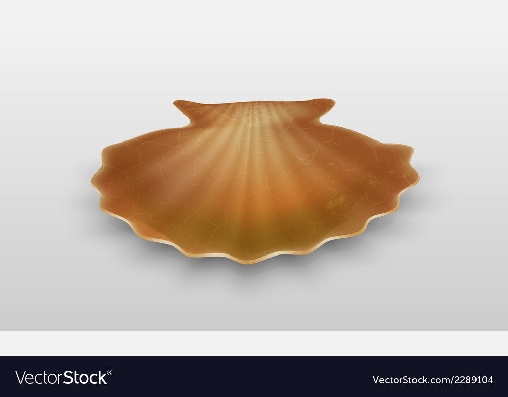 Empty shell Royalty Free Vector Image - VectorStock