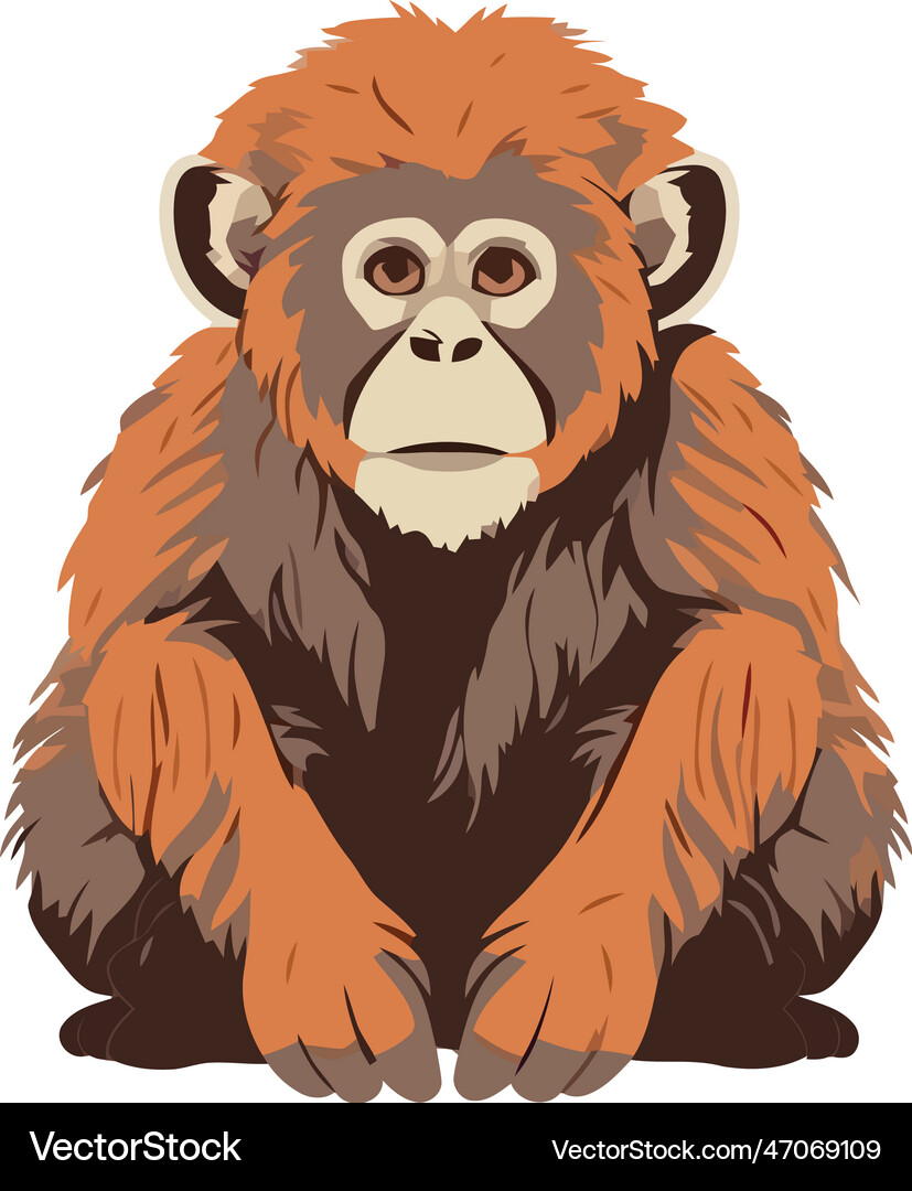 Cute baby monkey sitting in tropical rainforest Vector Image