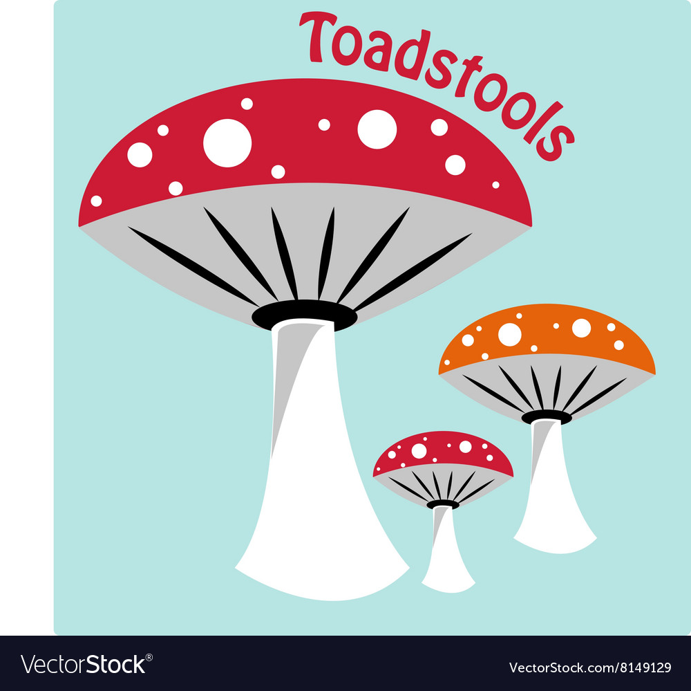 Toadstools Royalty Free Vector Image - VectorStock