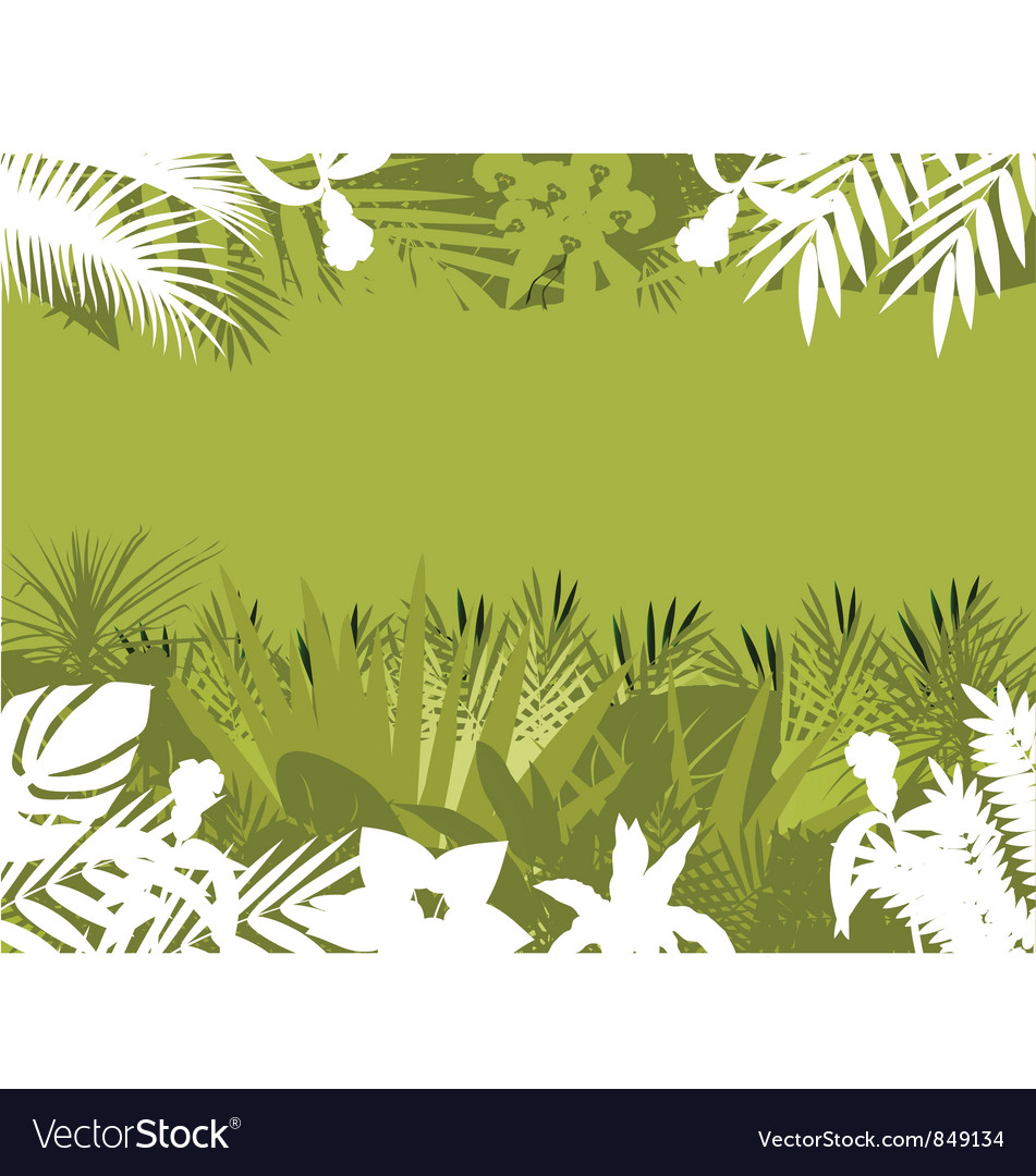 Tropical forest background Royalty Free Vector Image