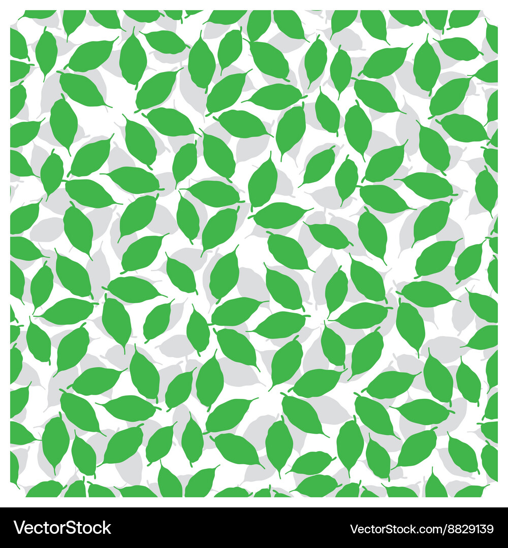 Leavesfruits and flowers seamless pattern Vector Image