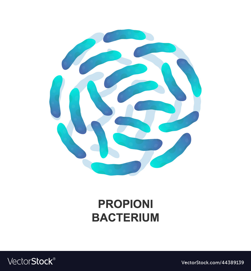 Propionibacterium probiotic bacteria good Vector Image