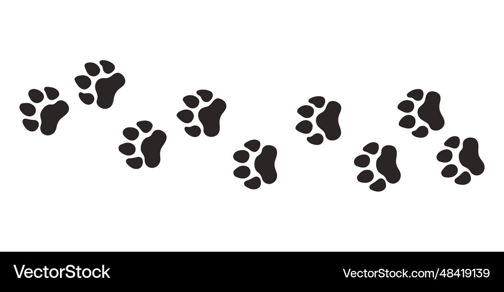 Tiger paws animal paw prints different Royalty Free Vector