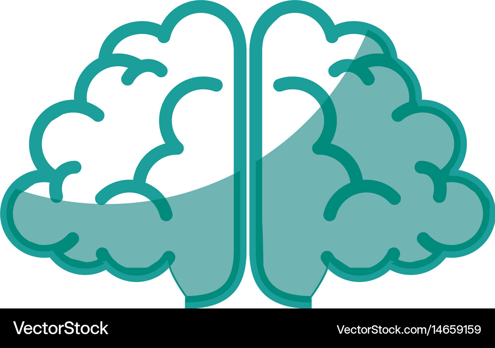 Brain organ icon Royalty Free Vector Image - VectorStock
