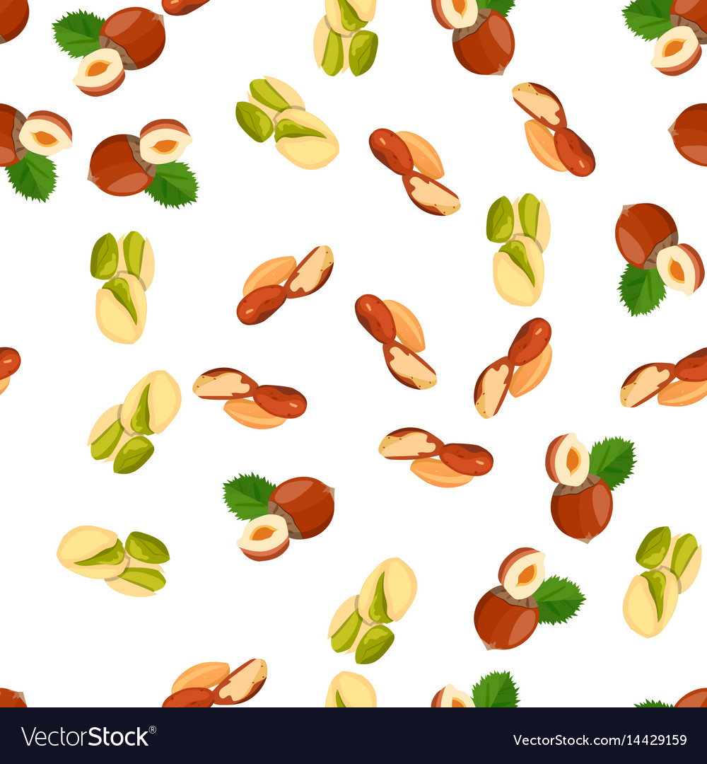 Nuts Royalty Free Vector Image - VectorStock
