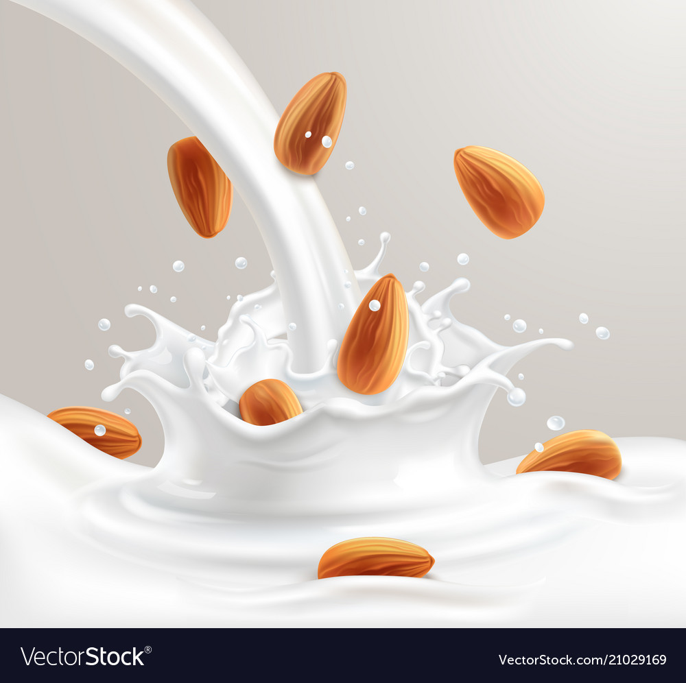 Almond Milk Royalty Free Vector Image Vectorstock