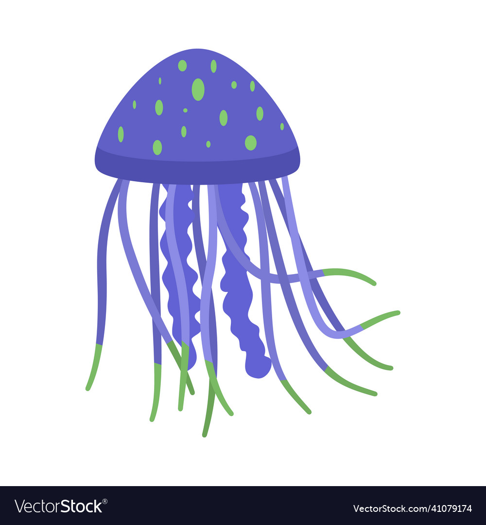 Jellyfish flat Royalty Free Vector Image - VectorStock Jellyfish flat Royalty Free Vector Image - VectorStock