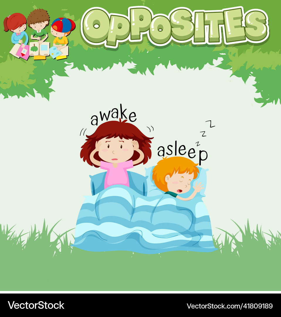 Opposite words for awake and asleep Royalty Free Vector