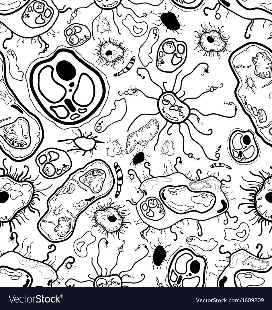 Cellular Microscopic Pattern Royalty Free Vector Image