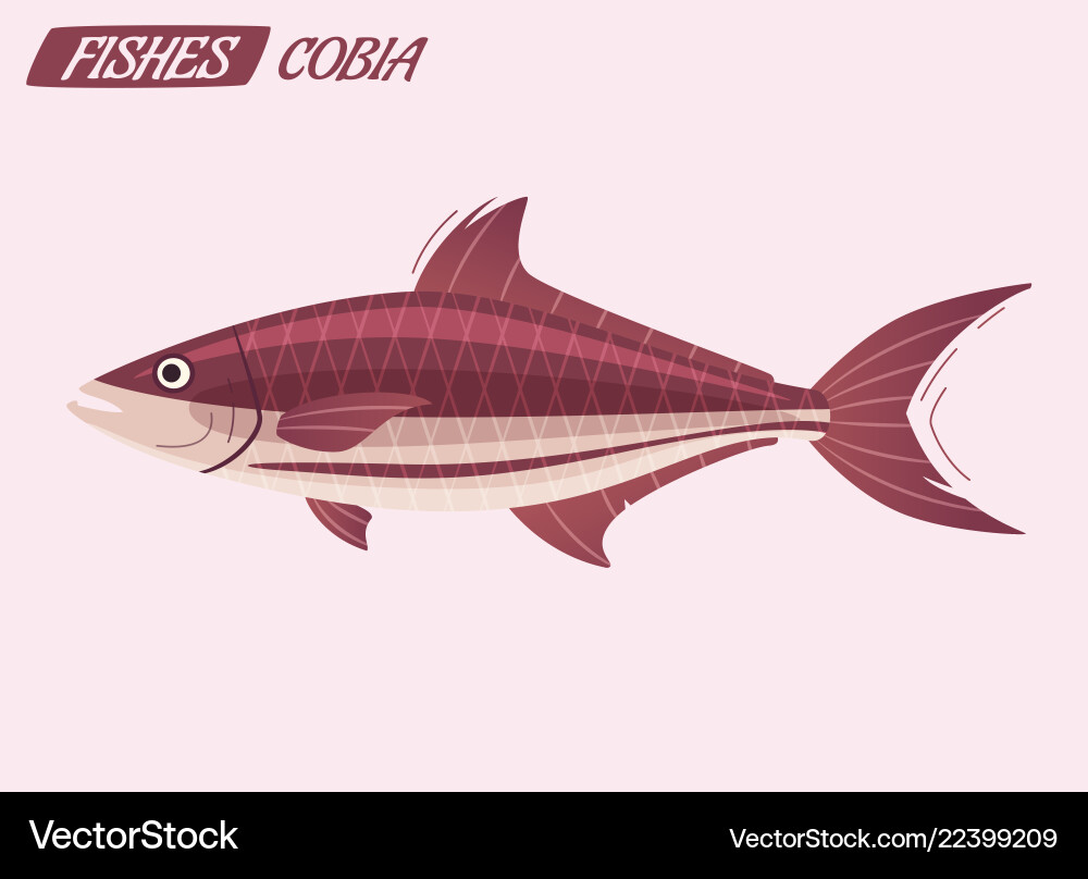 Fish character cartoon Royalty Free Vector Image