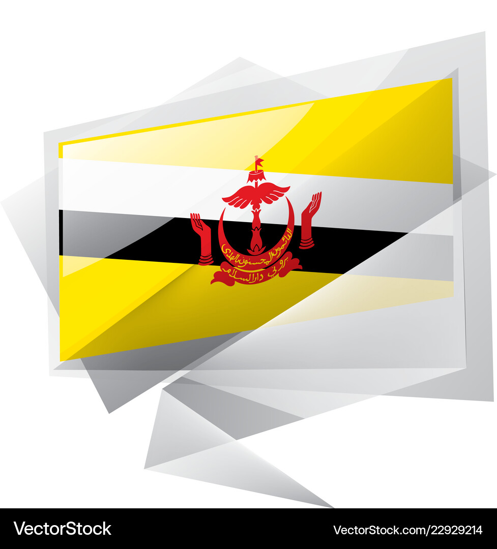 Brunei flag on a white Royalty Free Vector Image