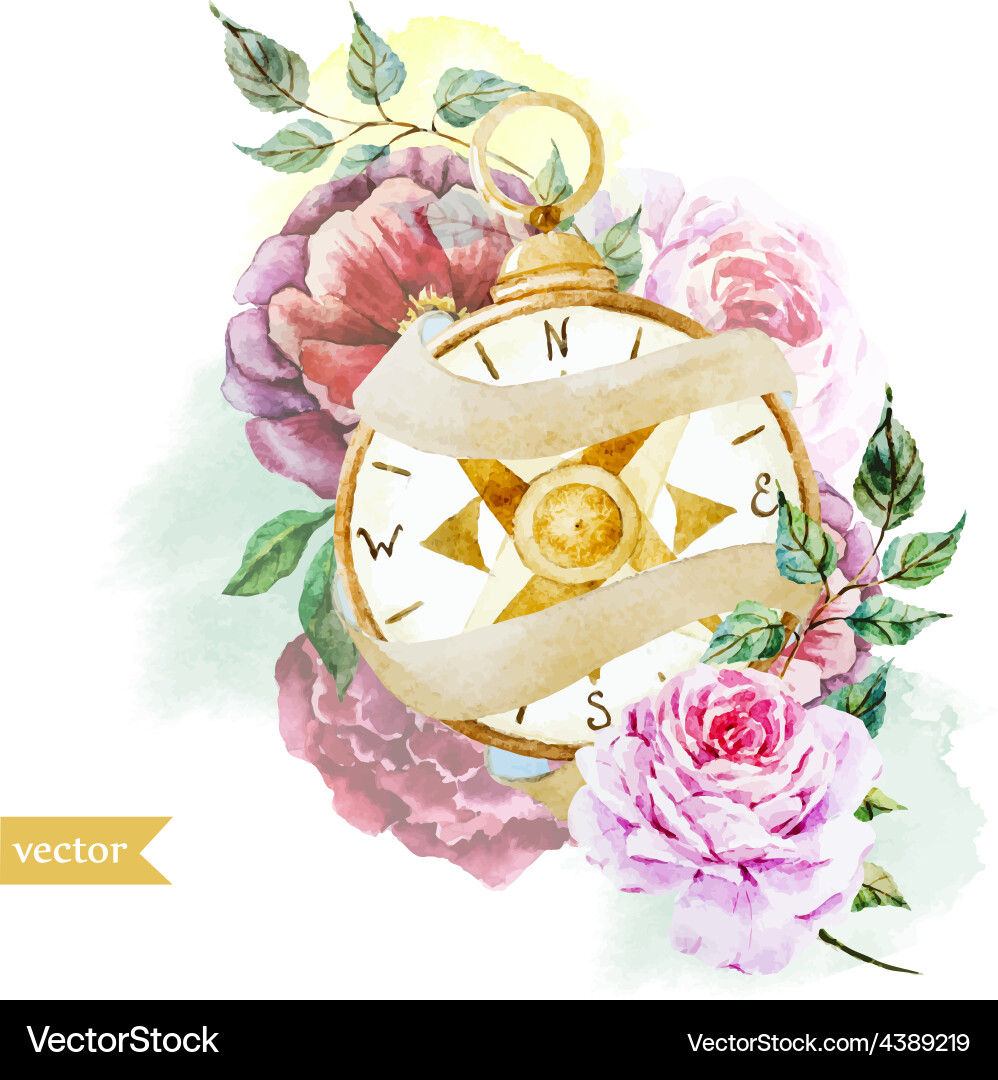 Watercolor compass Royalty Free Vector Image - VectorStock