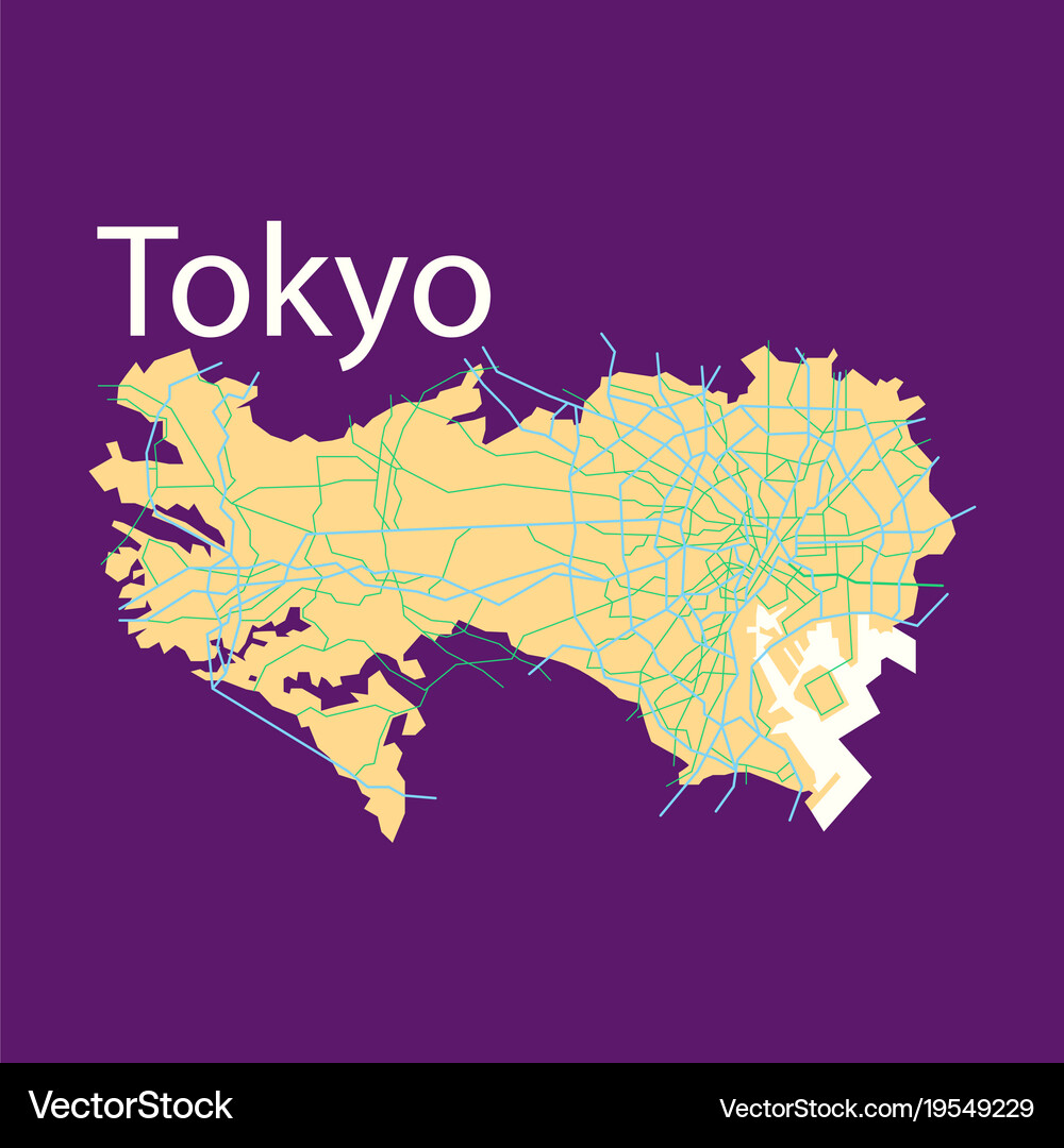 Flat japan tokyo - top view map showing streets Vector Image