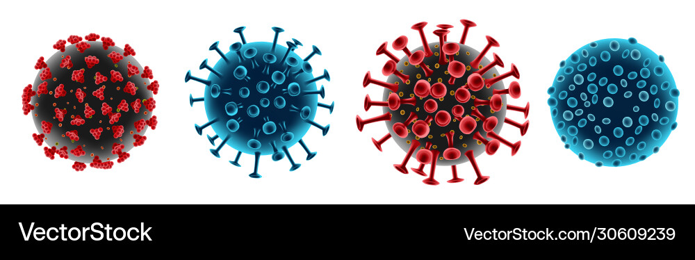 Coronavirus covid19-19 different models medical Vector Image