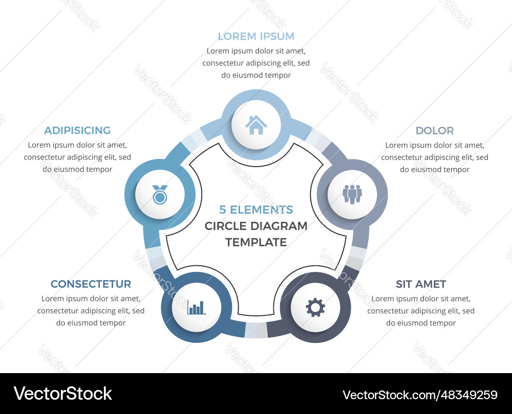 Circle infographic template - five elements Vector Image