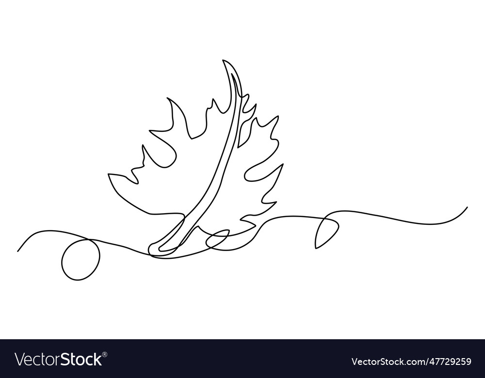 Maple leaf line art one continuous line drawing Vector Image