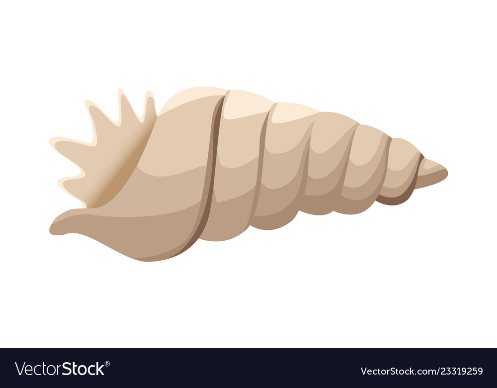Sea shells icon Royalty Free Vector Image - VectorStock