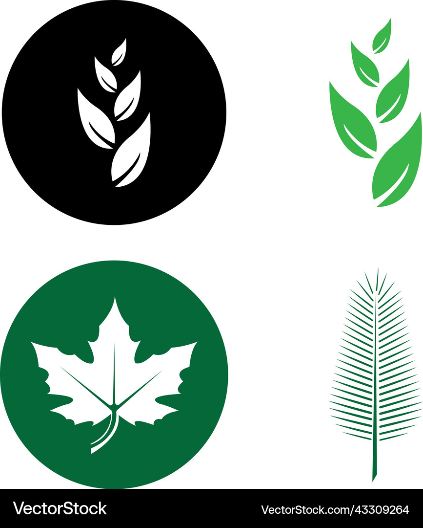 Leaf logo Royalty Free Vector Image - VectorStock