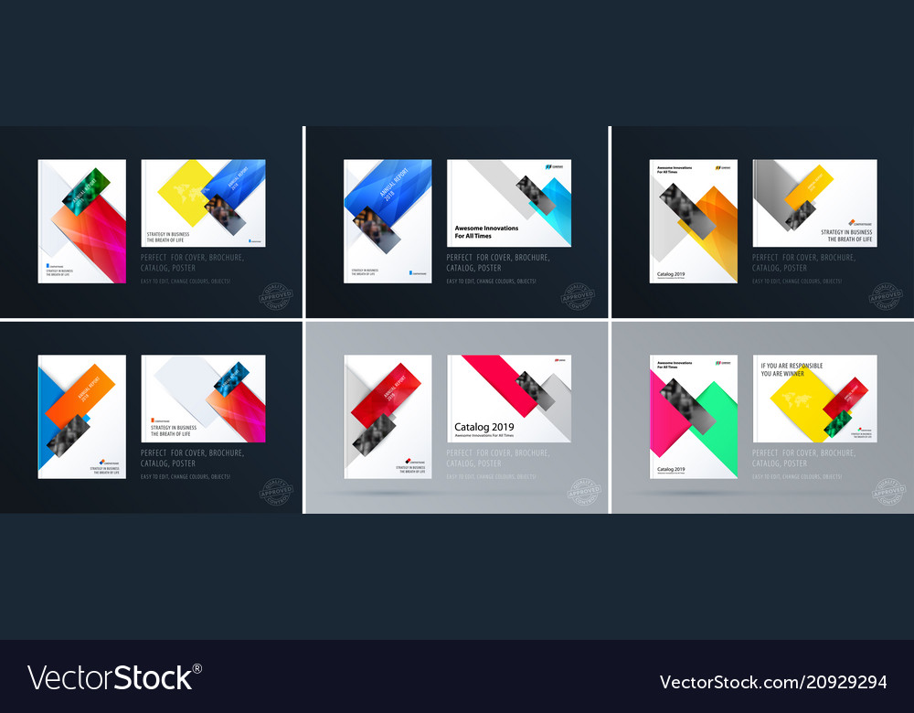 Brochure design rectangular template colourful Vector Image